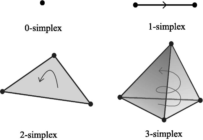 Persistent topological features of dynamical systems | Chaos: An ...
