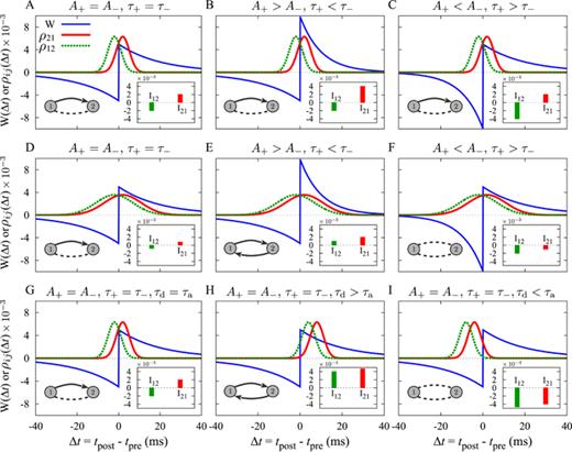Propagation delays determine neuronal activity and synaptic ...