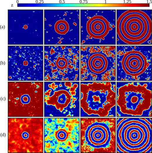 Noise-sustained patterns in a model of volume-coupled neural tissue ...