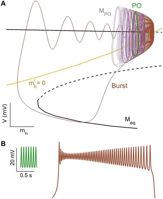 Bottom-up approach to torus bifurcation in neuron models | Chaos: An ...