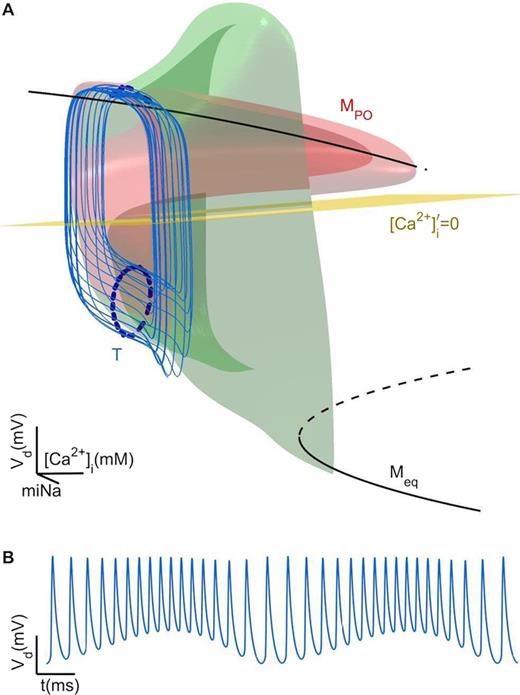 Bottom-up approach to torus bifurcation in neuron models | Chaos: An ...