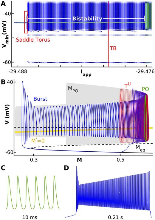 Bottom-up approach to torus bifurcation in neuron models | Chaos: An ...