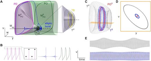 Bottom-up approach to torus bifurcation in neuron models | Chaos: An ...