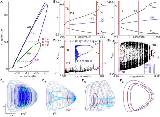 Bottom-up approach to torus bifurcation in neuron models | Chaos: An ...