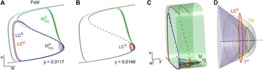 Bottom-up approach to torus bifurcation in neuron models | Chaos: An ...