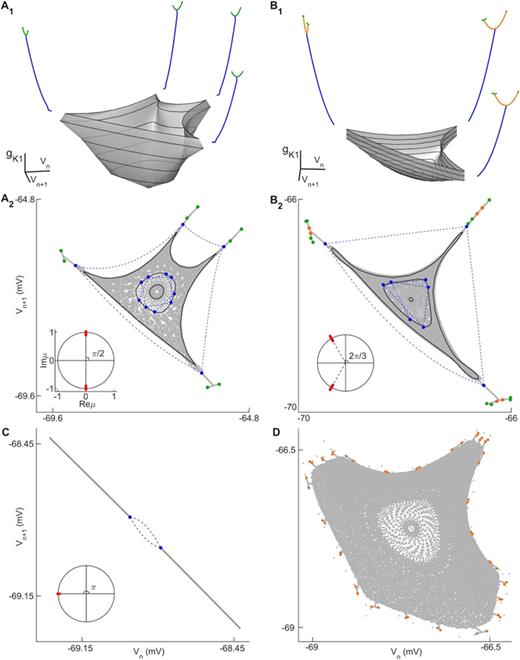 Bottom-up approach to torus bifurcation in neuron models | Chaos: An ...
