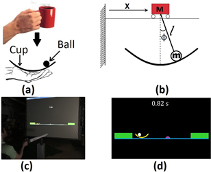 Stability and predictability in human control of complex objects ...