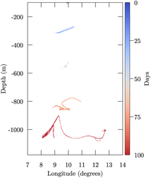 Inhomogeneities and caustics in the sedimentation of noninertial ...