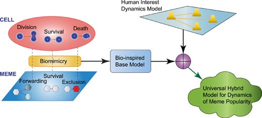 A model for meme popularity growth in social networking systems based ...