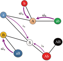 Self-awareness control effect of cooperative epidemics on complex ...