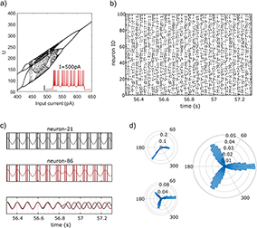 Itinerant complexity in networks of intrinsically bursting neurons ...