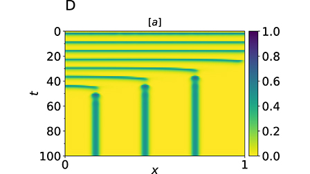 Hybrid reaction–diffusion and clock-and-wavefront model for the arrest ...