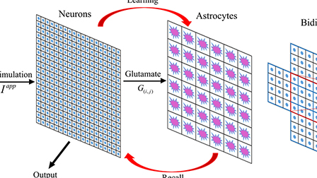 Volume 33 Issue 1 | Chaos: An Interdisciplinary Journal of Nonlinear ...
