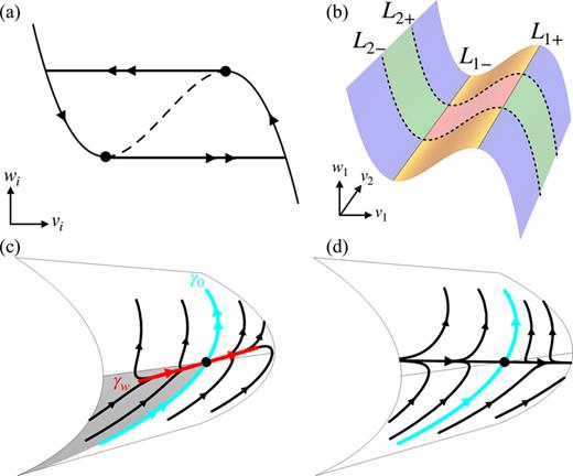 Symmetry-breaking rhythms in coupled, identical fast–slow oscillators ...