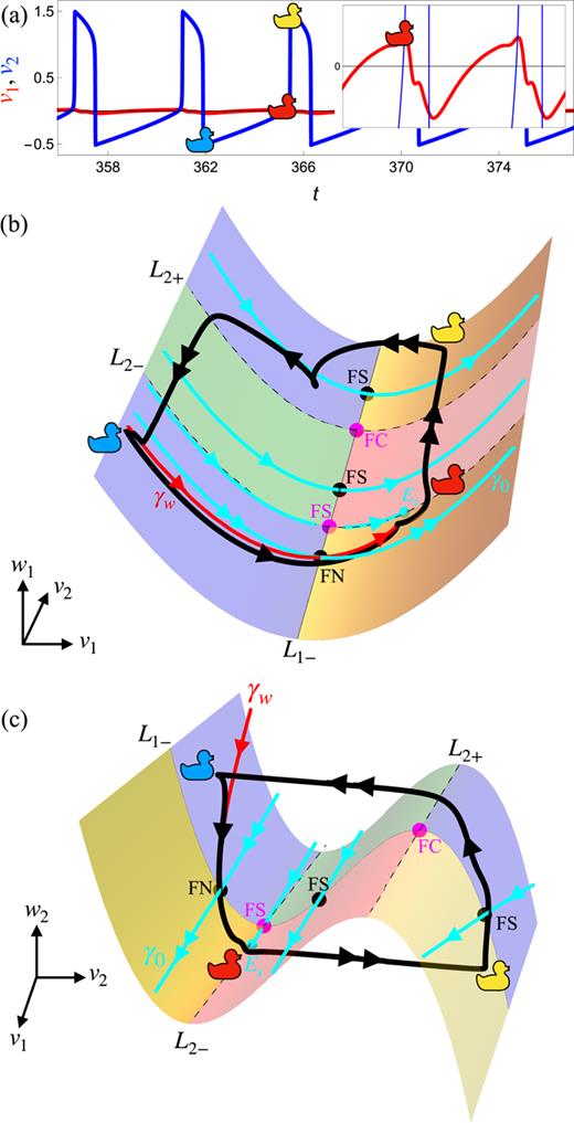 Symmetry-breaking rhythms in coupled, identical fast–slow oscillators ...