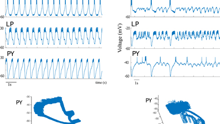 Reliability and robustness of oscillations in some slow-fast chaotic ...