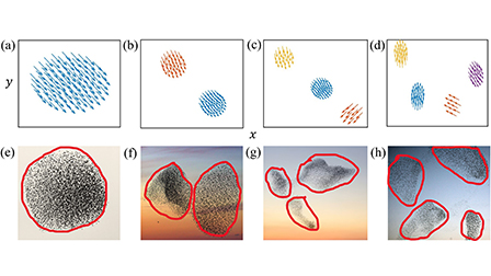 Flocking and swarming in a multi-agent dynamical system | Chaos: An ...