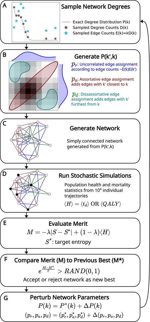 Network topologies for maximal organismal health span and lifespan | Chaos: An Interdisciplinary ...