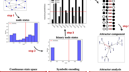 The attractor structure of functional connectivity in coupled logistic ...