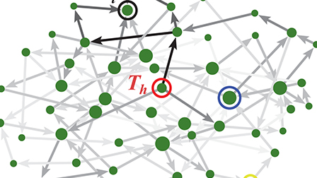 Critical transition of thermal rectification on complex networks | Chaos: An Interdisciplinary ...