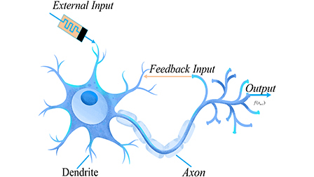 Hyperchaos of neuron under local active discrete memristor simulating electromagnetic radiation ...