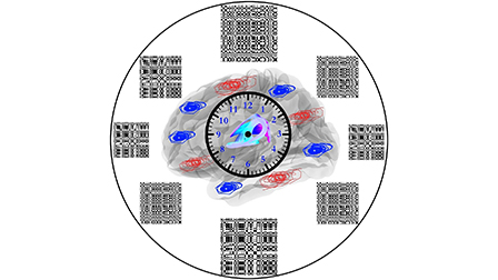Exploring nonlinear dynamics in brain functionality through phase portraits and fuzzy recurrence ...