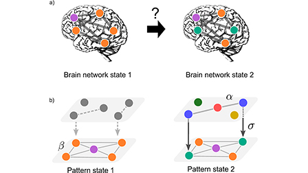 Symmetry breaker governs synchrony patterns in neuronal inspired networks | Chaos: An ...