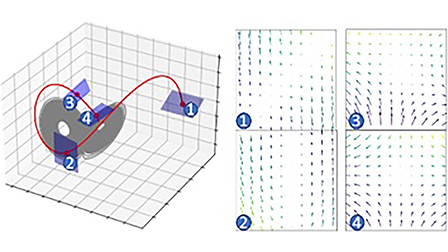Identification of critical points in transient electroconvection ...