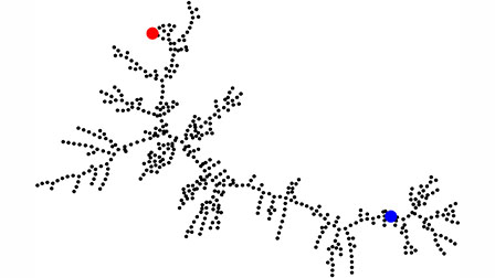 Random walks with stochastic resetting in complex networks: A discrete-time approach | Chaos: An ...