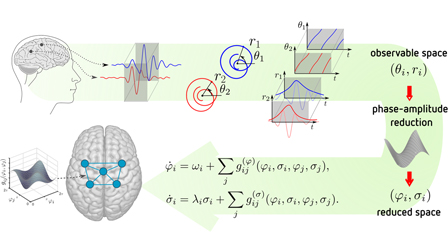 Reconstruction of phase–amplitude dynamics from signals of a network of oscillators | Chaos: An ...
