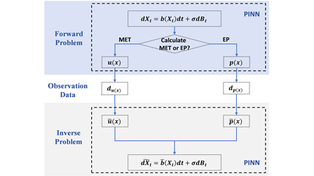 Data driven discovery of escape phenomena in stochastic systems | Chaos: An Interdisciplinary ...