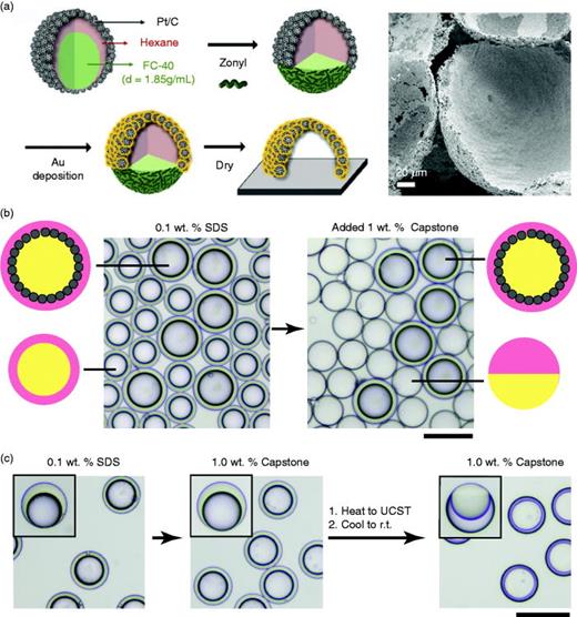 Reconfigurable complex emulsions: Design, properties, and applications ...