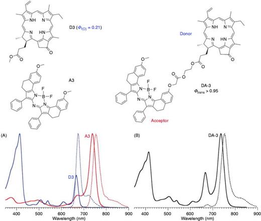 The fluorescence quantum yield parameter in Förster resonance energy ...