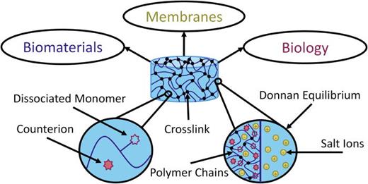 Fundamentals and mechanics of polyelectrolyte gels: Thermodynamics ...