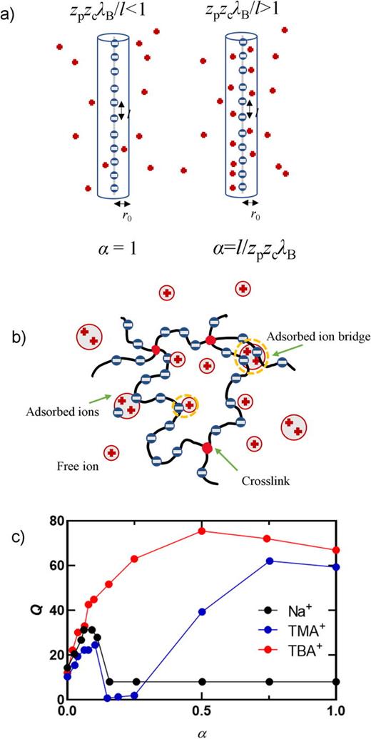 Fundamentals and mechanics of polyelectrolyte gels: Thermodynamics ...