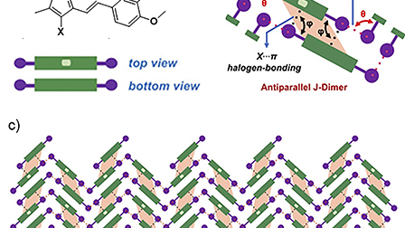 BODIPY dyes: Versatile building blocks to construct multiple types of ...