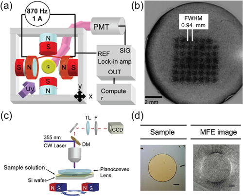 Molecular qubits based on photogenerated spin-correlated radical pairs for quantum sensing ...