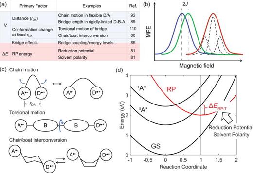 Molecular qubits based on photogenerated spin-correlated radical pairs ...
