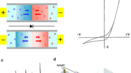 Iontronics: Aqueous ion-based engineering for bioinspired ...