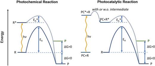 Visible-light photoredox catalysis with organic polymers | Chemical ...