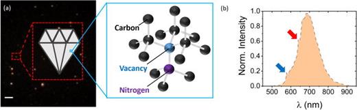 A guide to small fluorescent probes for single-molecule biophysics ...