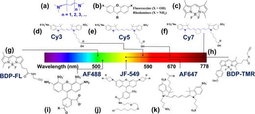 A guide to small fluorescent probes for single-molecule biophysics | Chemical Physics Reviews ...