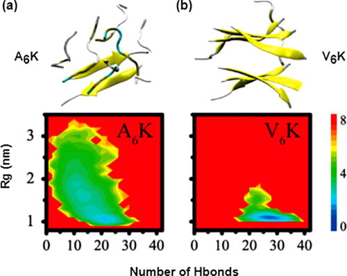 Self-assembling peptide biomaterials: Insights from spontaneous and ...