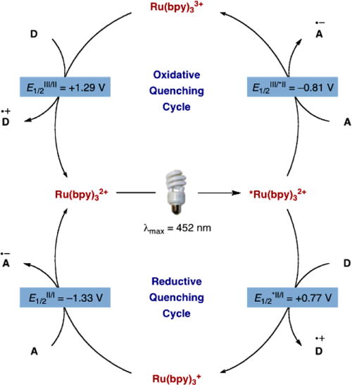 Mechanistic and kinetic studies of visible light photoredox reactions ...