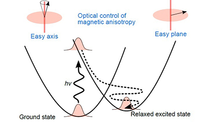 Considerations for ultrafast photomagnetism in manganese(III)-based ...