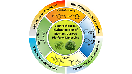 Catalyst development for electrochemical hydrogenation of biomass ...