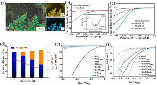 Catalyst development for electrochemical hydrogenation of biomass ...