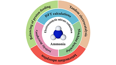 Rational electrocatalyst design for selective nitrate reduction to ...