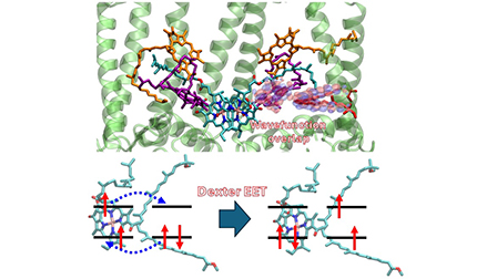 Theoretical aspects of Dexter-type excitation energy transfer for ...
