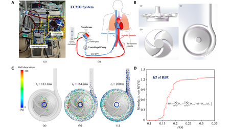 Evaluation of hemolysis in centrifugal blood pump of ECMO system based ...